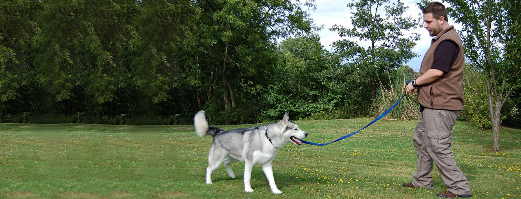 Dog Daycare South East and London - Clever Claws